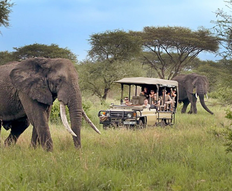 Tanzania Safari Tour Packages, Tanzania Tours from India | Viktorianz